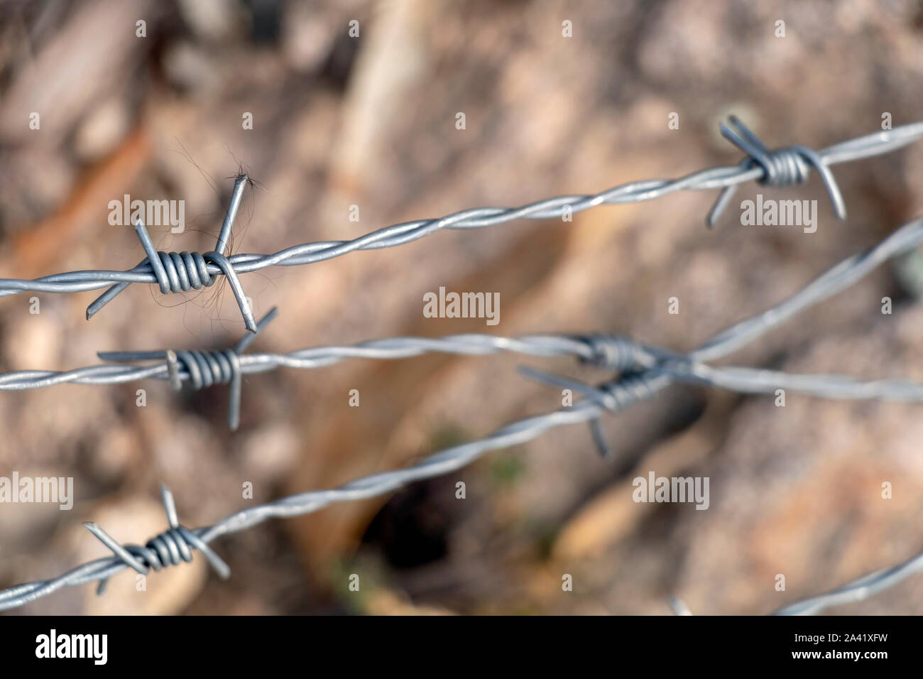 Barbed wire, also known as barb wire, a type of steel fencing wire with ...