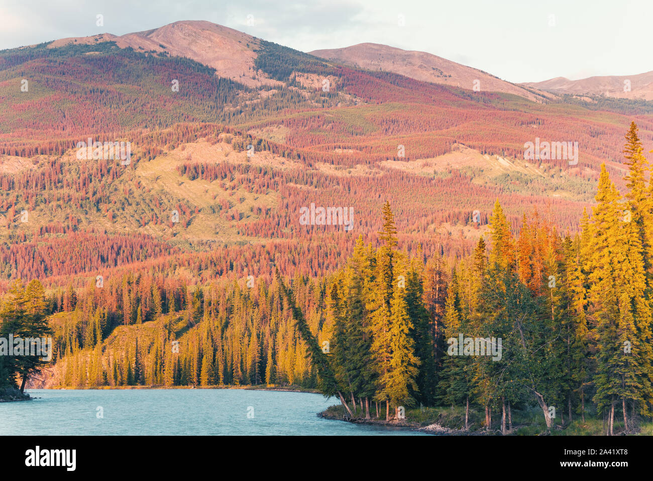 Canada autumn landscape hi-res stock photography and images - Alamy