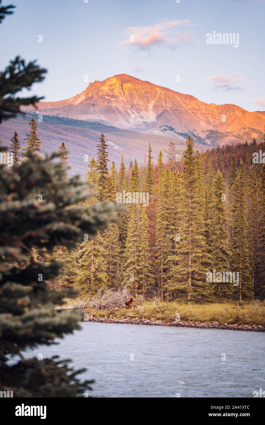 Autumn landscape in the Canadian Rockies Stock Photo - Alamy