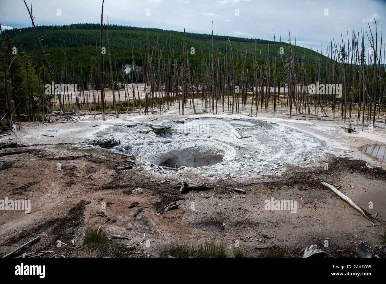 Dry hot spring in Yellowstone of vivid colors caused by thermophilic ...