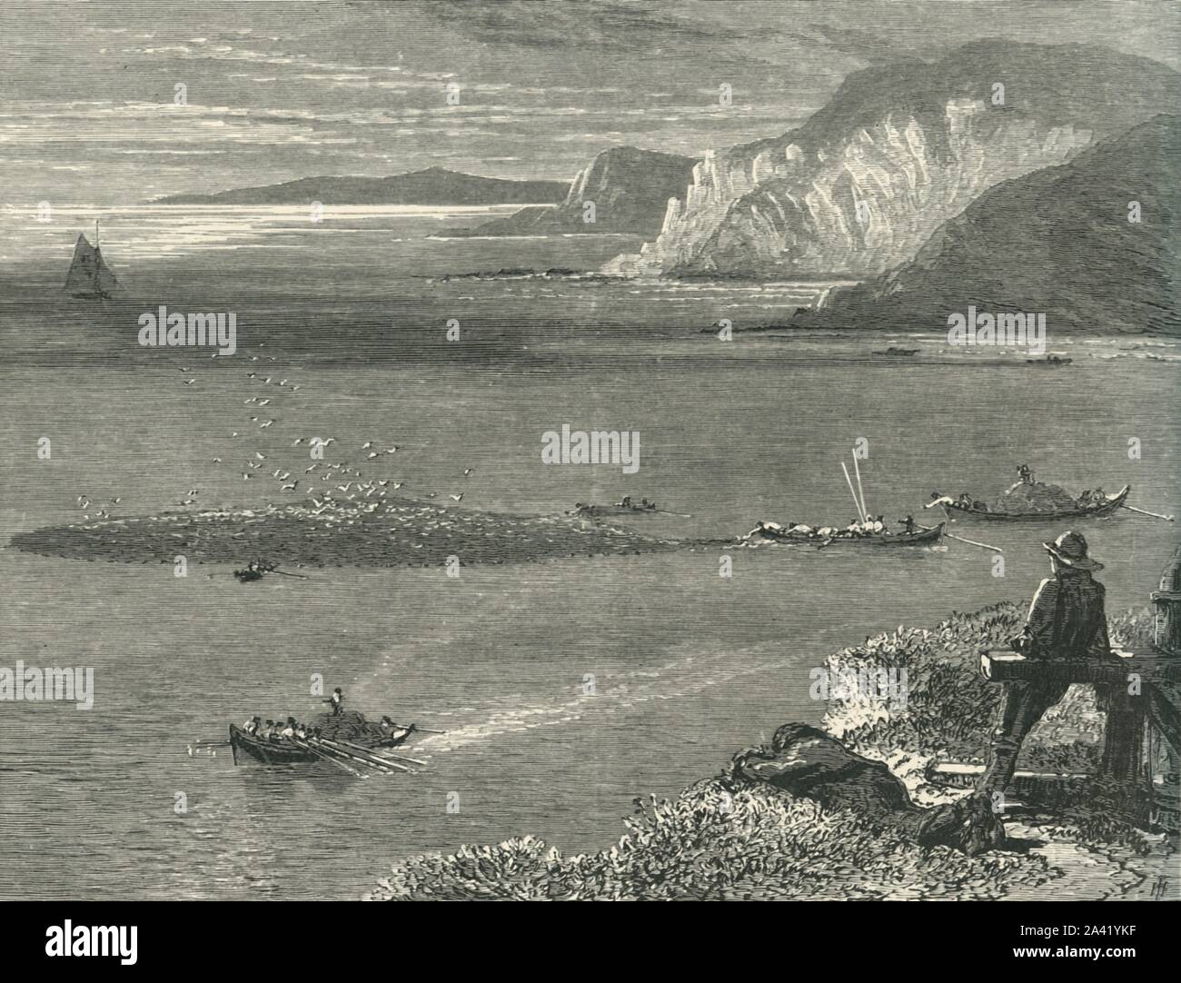 Cornwall pilchard fishing hi-res stock photography and images - Alamy
