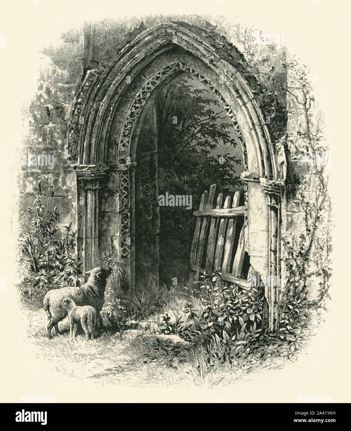 Dissolution of monasteries henry viii hi-res stock photography and ...