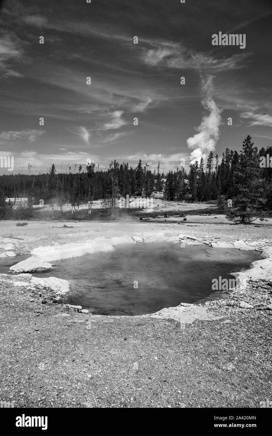 Boiling hot spring in Yellowstone in black and white Stock Photo - Alamy