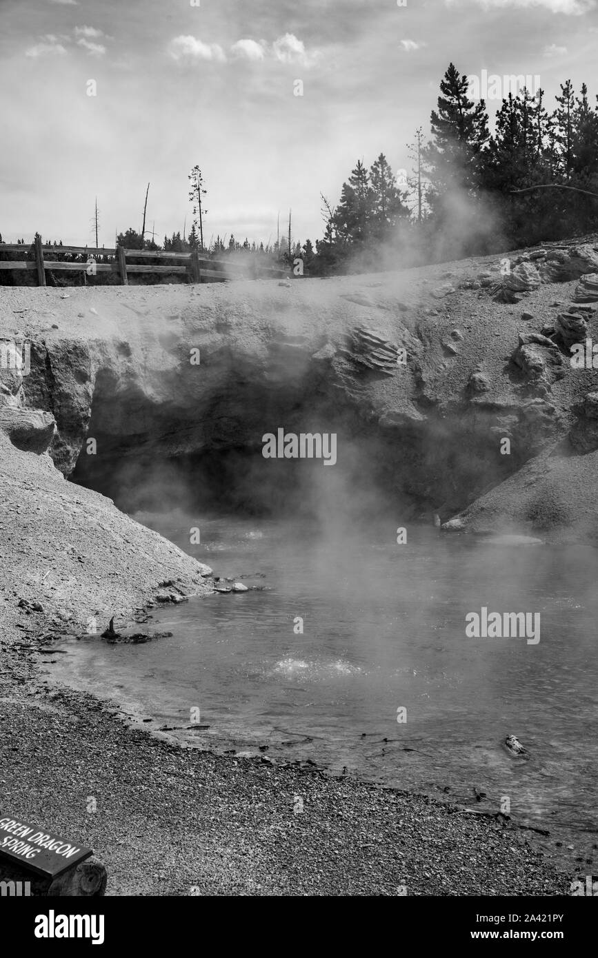 Green dragon geyser before an eruption in the Norris geyser basin in ...