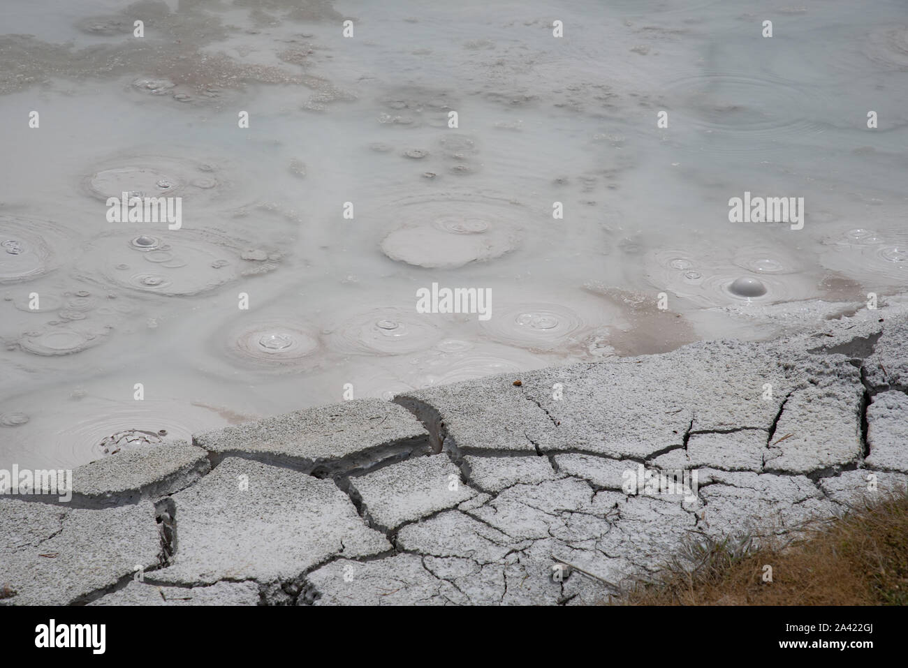 Boiling mud hot spring at Artists painpots geothermal in Yellowstone ...