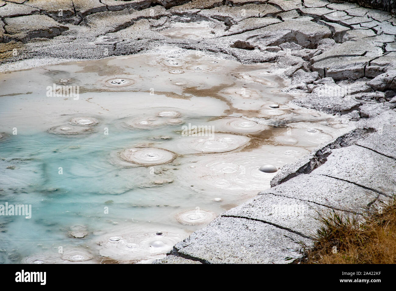 Boiling mud hot spring at Artists painpots geothermal in Yellowstone ...