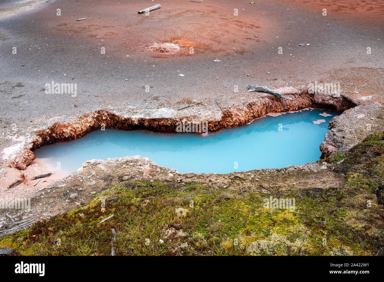 Colorful hot spring in Yellowstone of vivid colors caused by ...