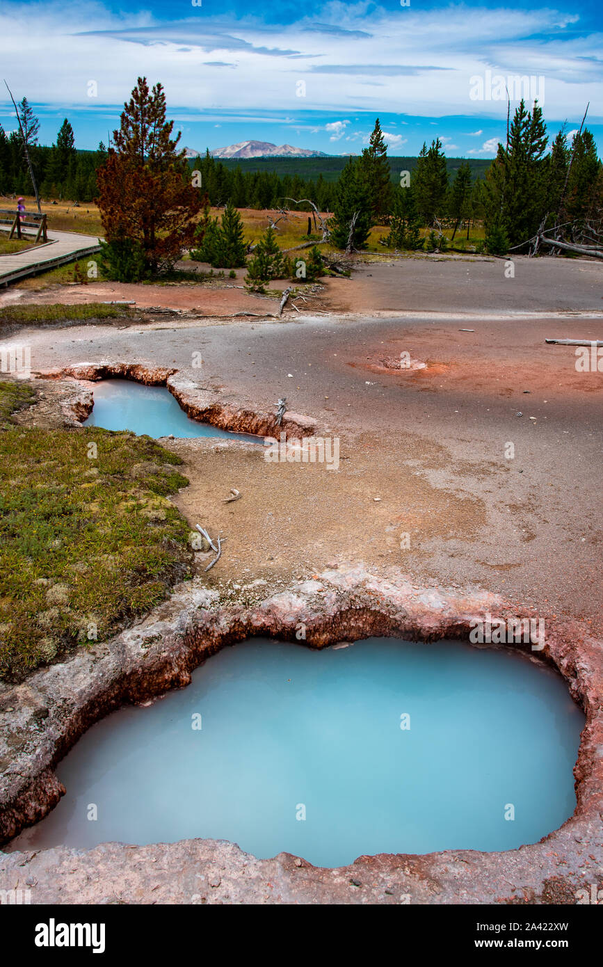 Colorful hot spring in Yellowstone of vivid colors caused by ...