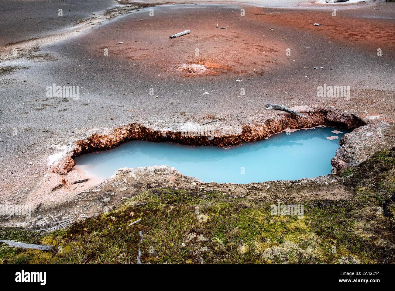 Colorful hot spring in Yellowstone of vivid colors caused by ...