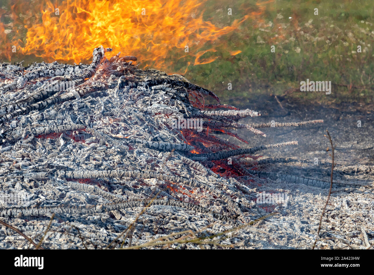 Backdrop of the fire flame and ashes. Wildfire abstract background with ...