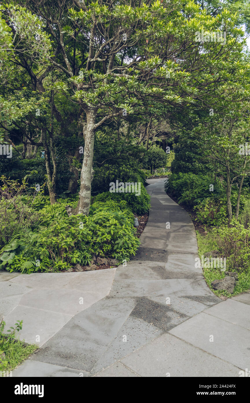 stone crosspathes inside osulloc tea museum garden in daylight Stock ...