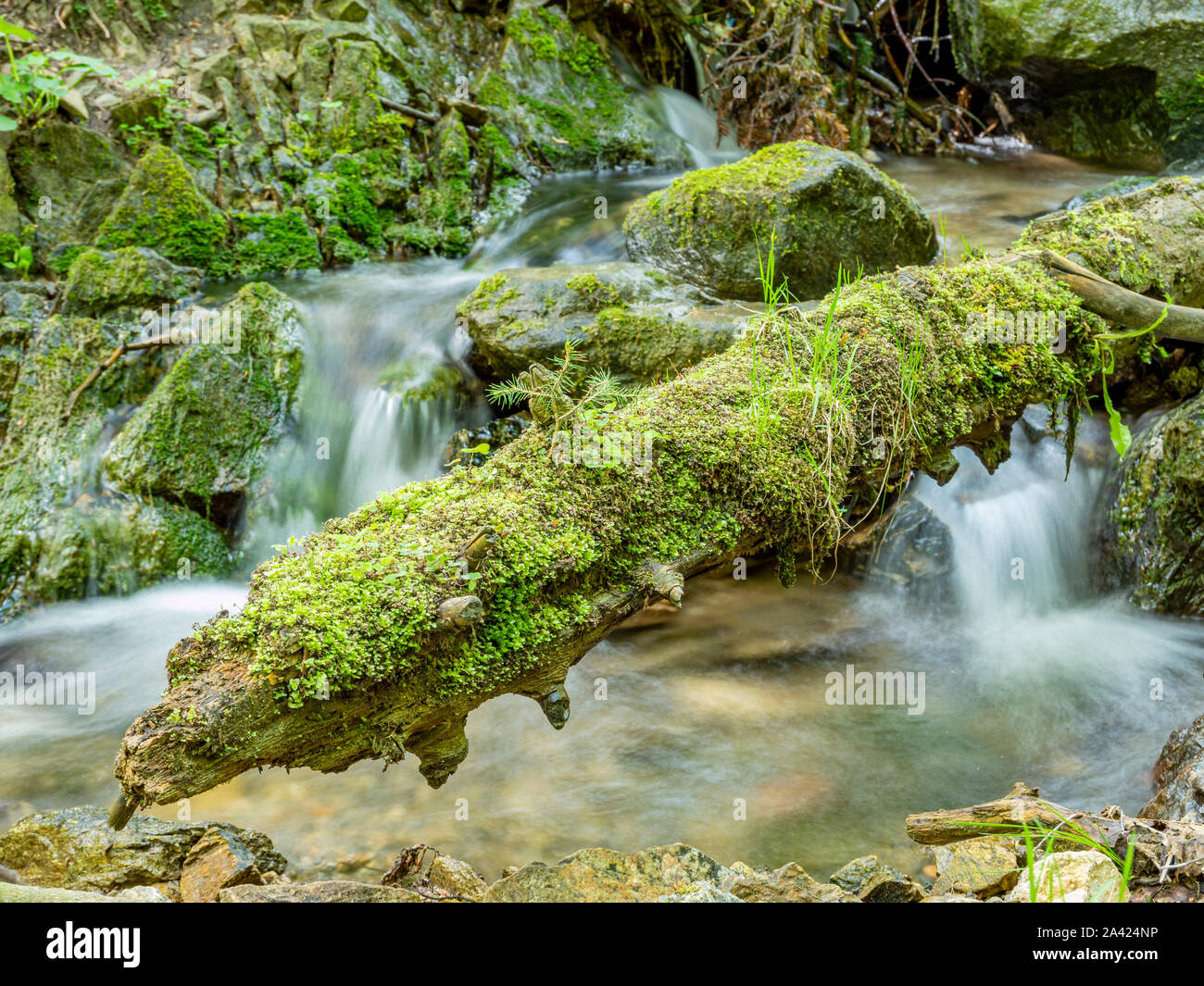 Root of mountain hi-res stock photography and images - Alamy
