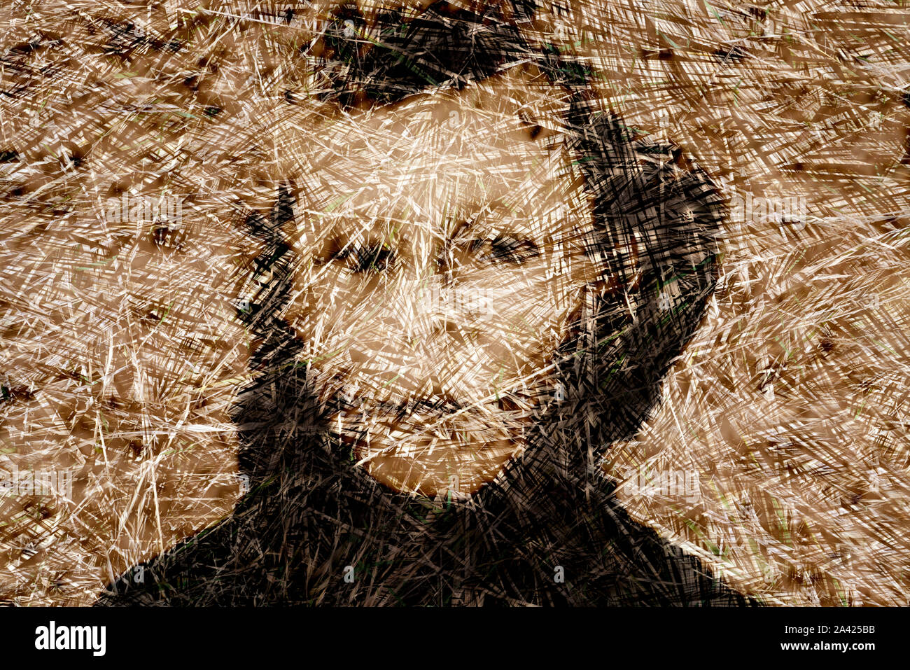 Scary face hi-res stock photography and images - Alamy