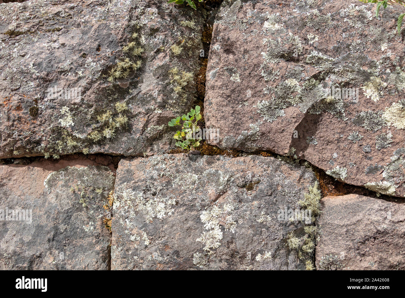 Natural Gray and brown stone brick background wall surface, fragment of ...