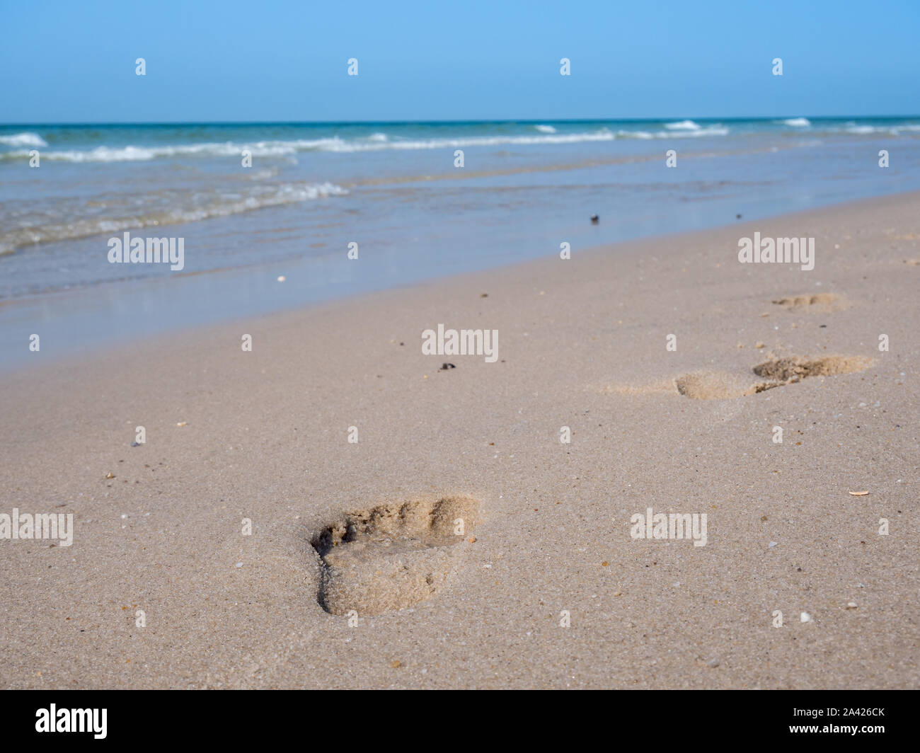 Footprint on the beach at the North Sea Stock Photo - Alamy