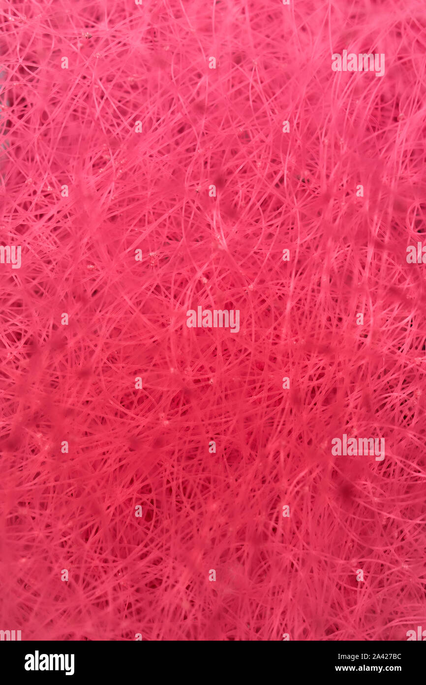 Pink coloured nylon fishing line net close up abstract background Stock ...