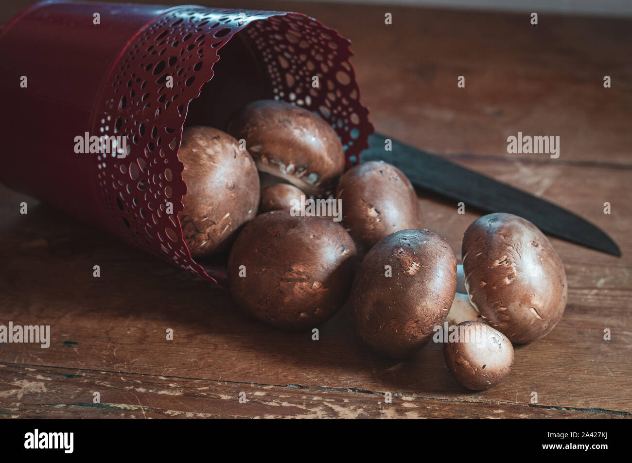 Paris mushrooms hi-res stock photography and images - Alamy