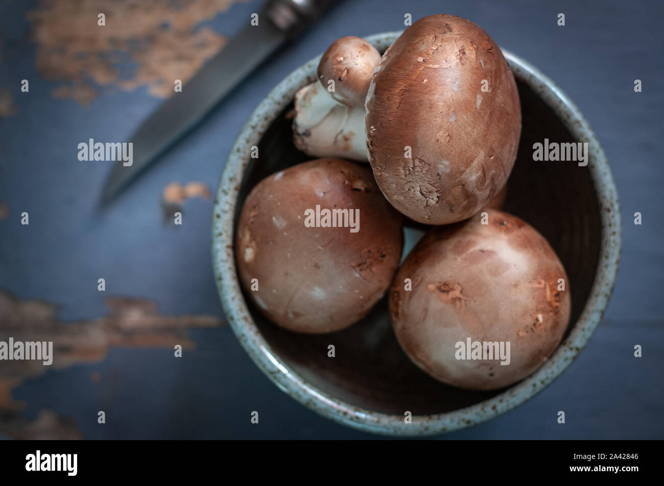 Champignon de paris hi-res stock photography and images - Alamy