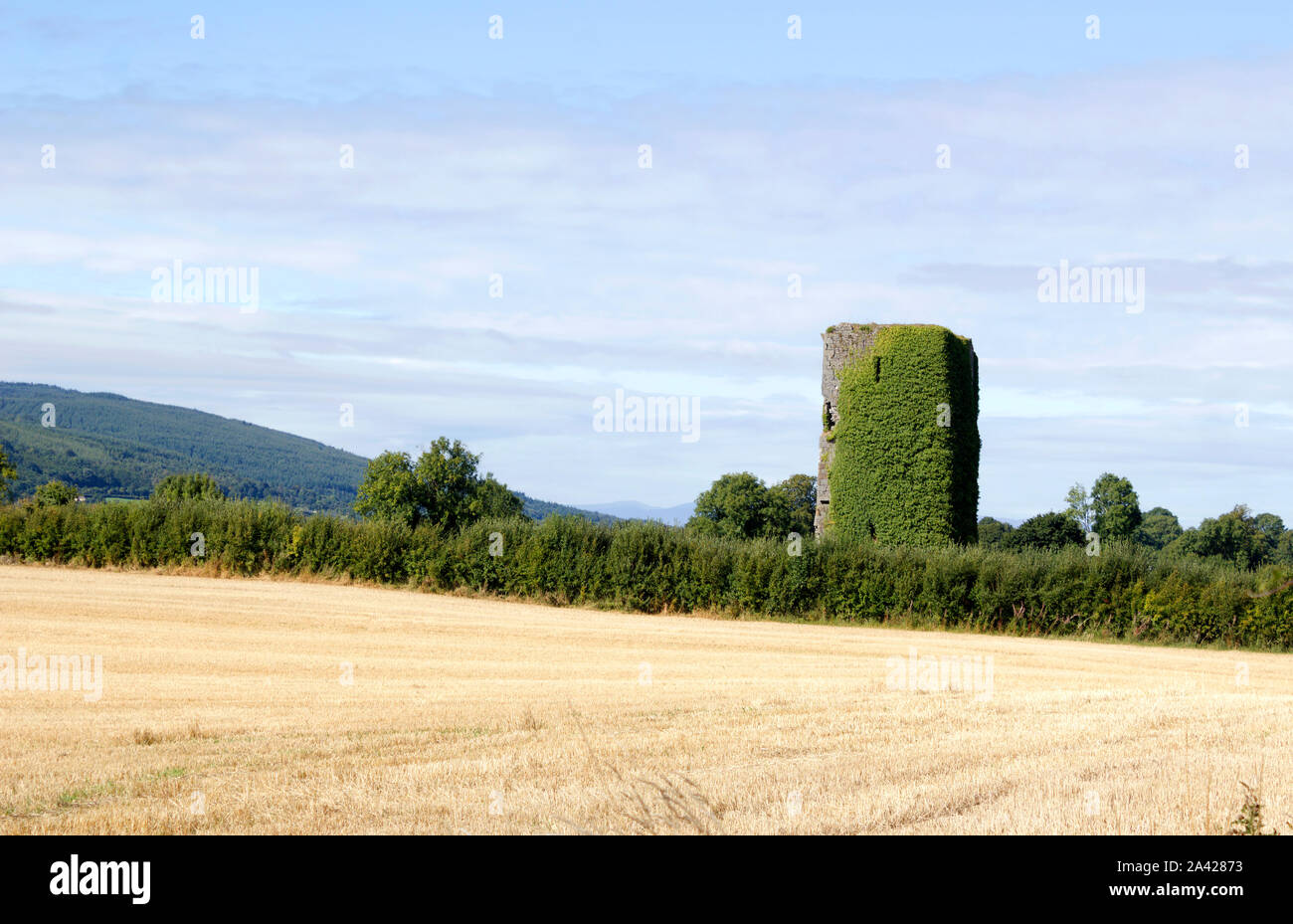 Image of Irish Tower House known as Dovehill Castle near the town of ...
