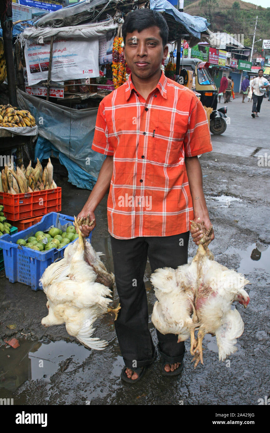 Young Man Carrying Chickens Through Munnar Market, Kerala, India Stock ...
