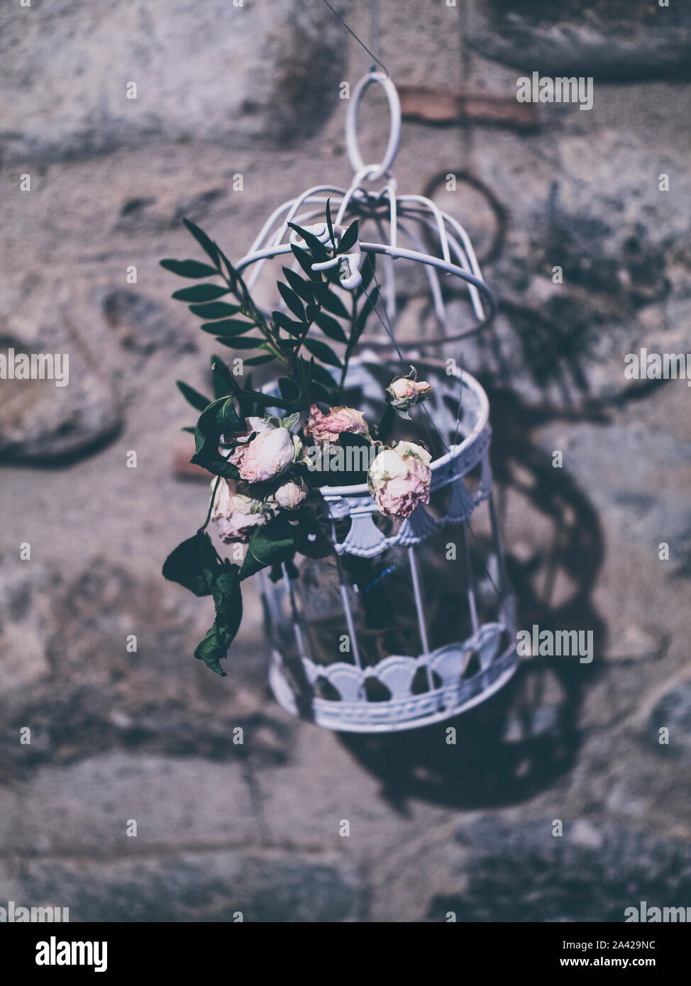 small cage with flowers in it Stock Photo - Alamy
