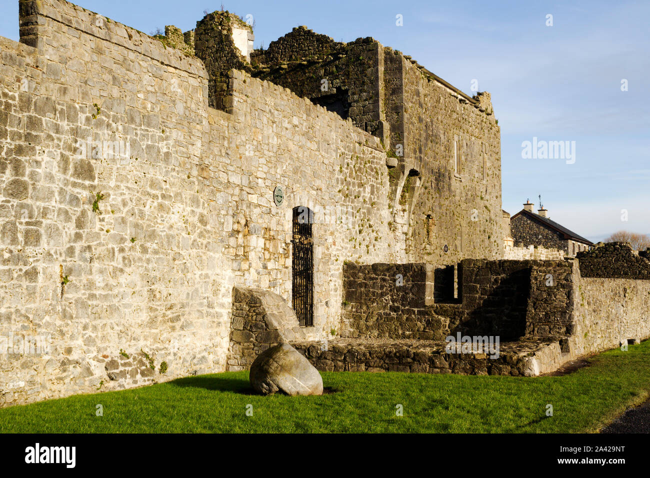 The fortification and a castle in the town of Fethard in County ...