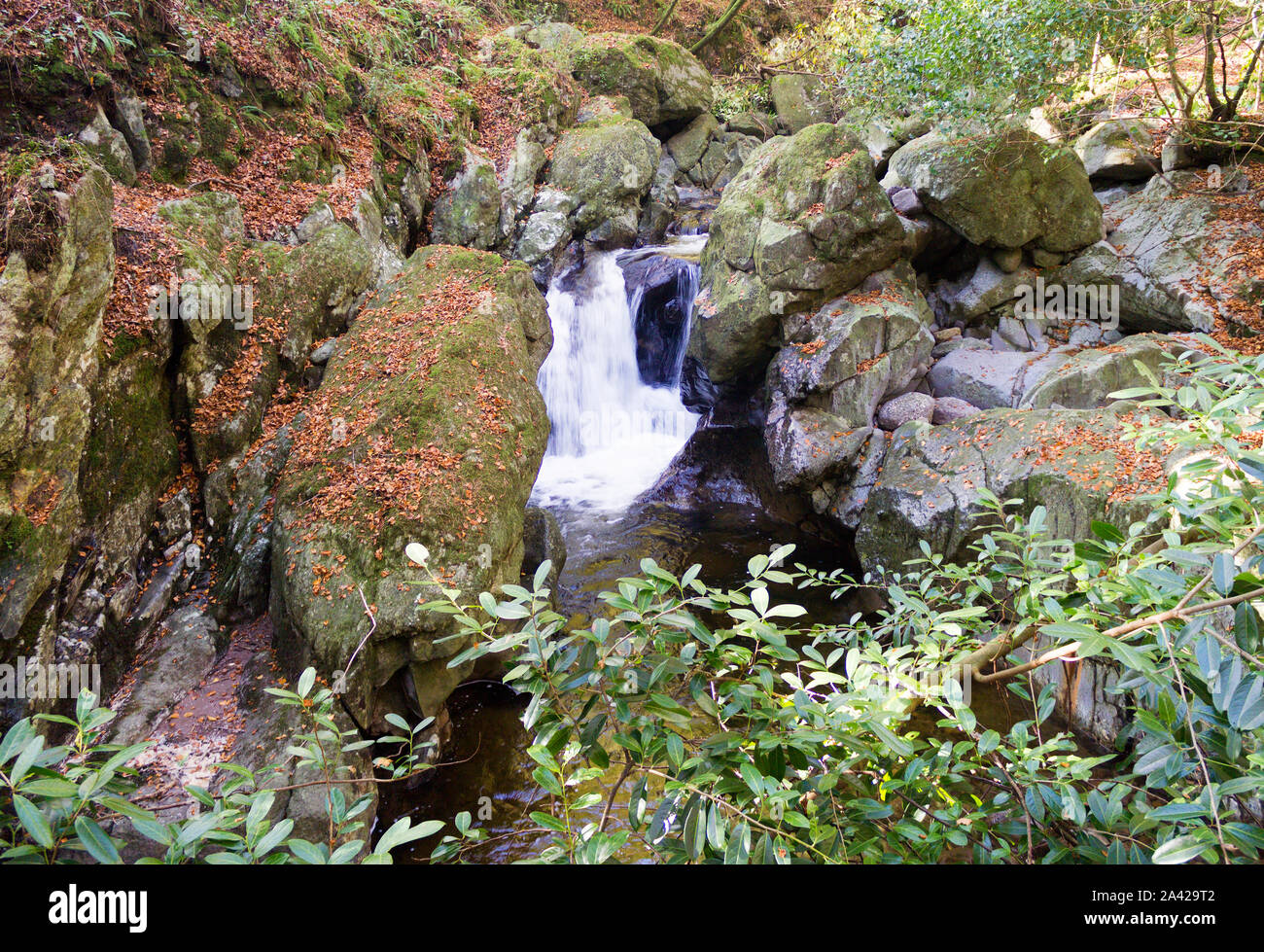 Small waterfall on a stream cutting its way through rocks Stock Photo ...