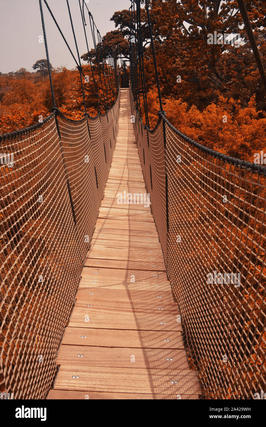 Narrow rope bridge hi-res stock photography and images - Alamy