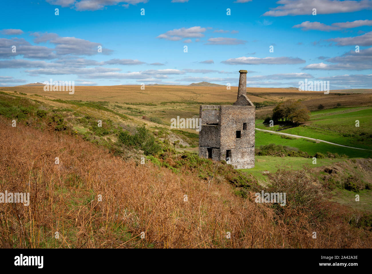 Wheal betsy mine hi-res stock photography and images - Alamy
