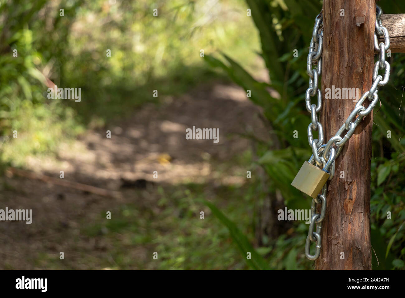 Locker with chain close up with blurred green background and copy space ...