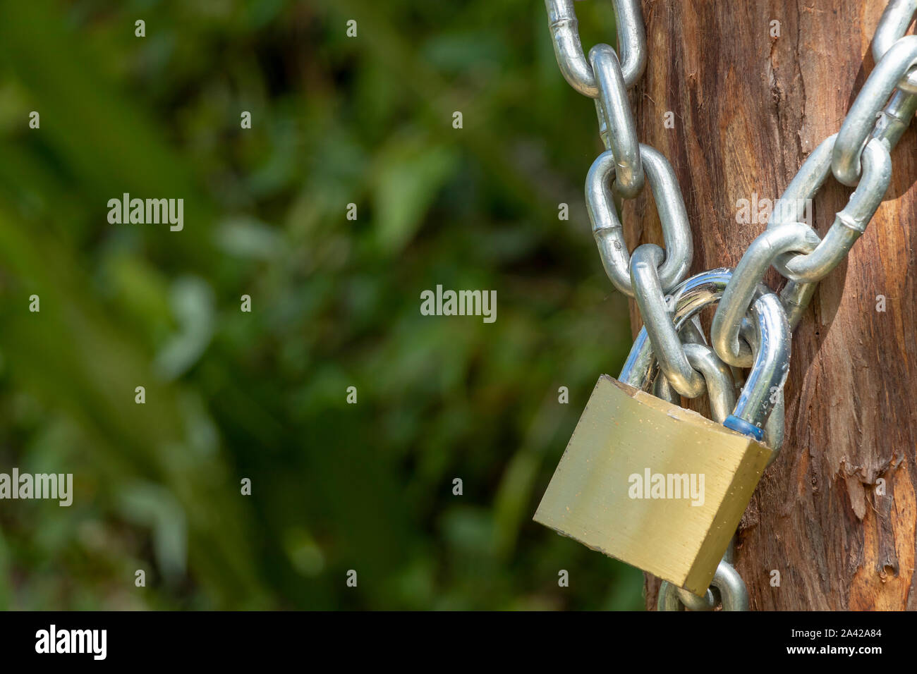 Locker with chain close up with blurred green background and copy space ...