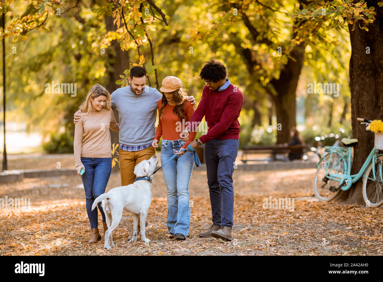 Group of multiracial young people walking in the autumn park and having ...