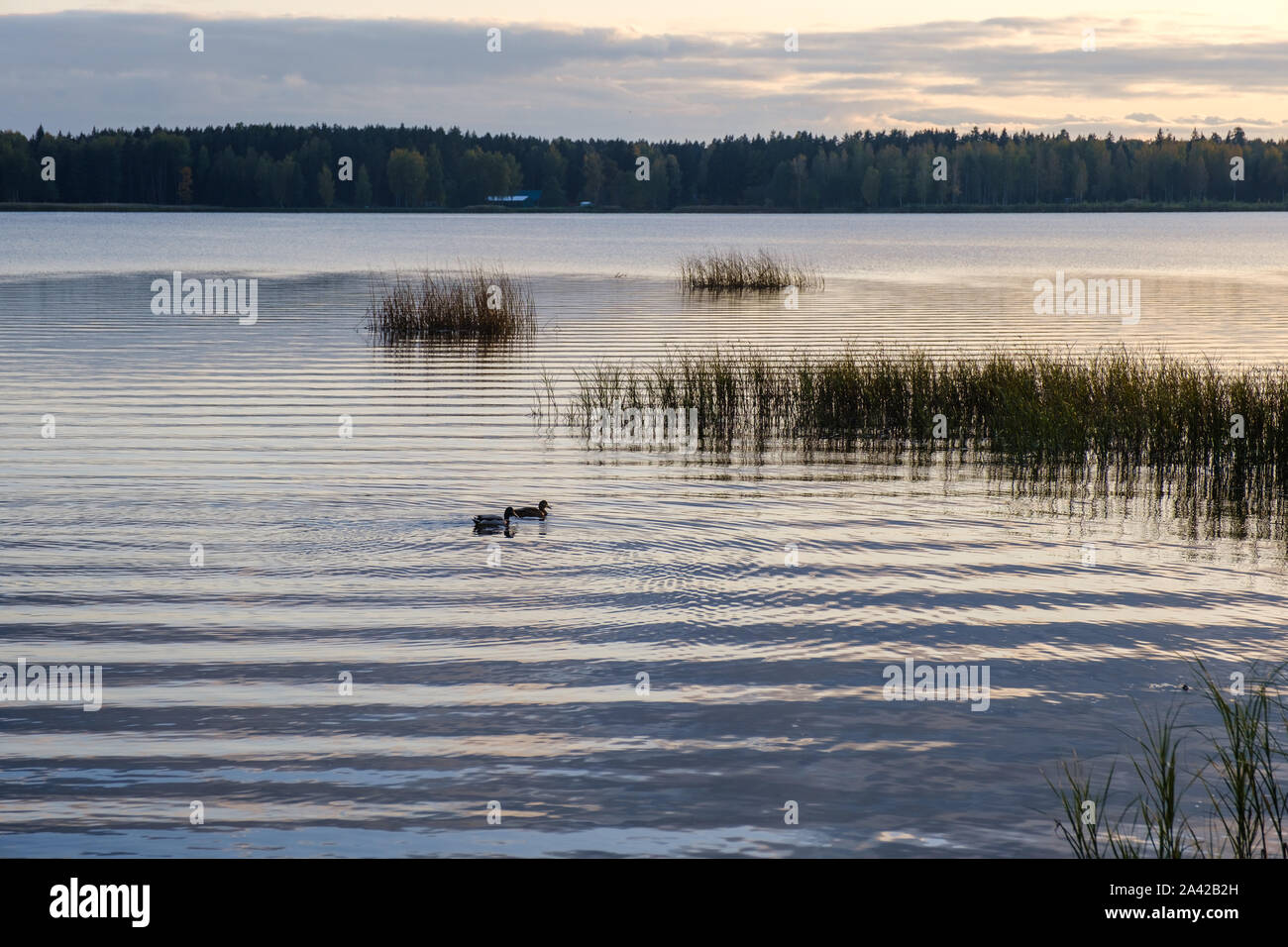 Beautiful evening on banks hi-res stock photography and images - Alamy