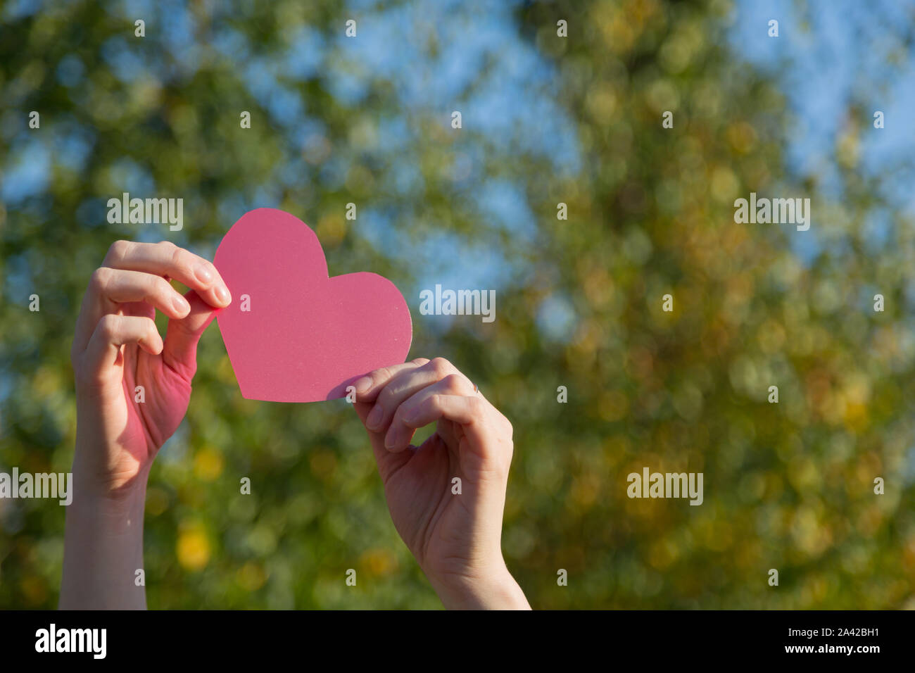 Hand holding a heart Stock Photo - Alamy