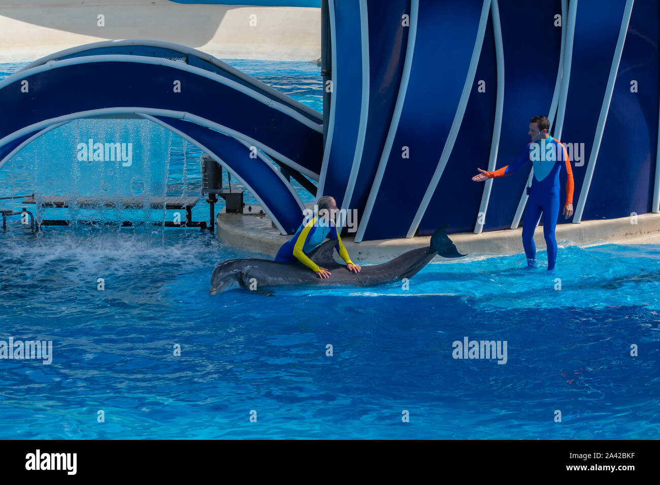 Orlando, Florida. September 30, 2019. Nice dolphin posing out of the ...