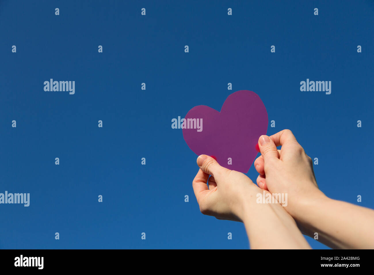 Hand holding a heart Stock Photo - Alamy