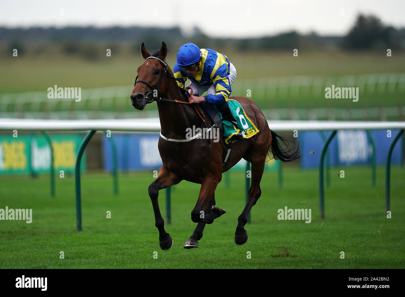 Trueshan ridden by William Buick wins the bet365 Old Rowley Cup ...