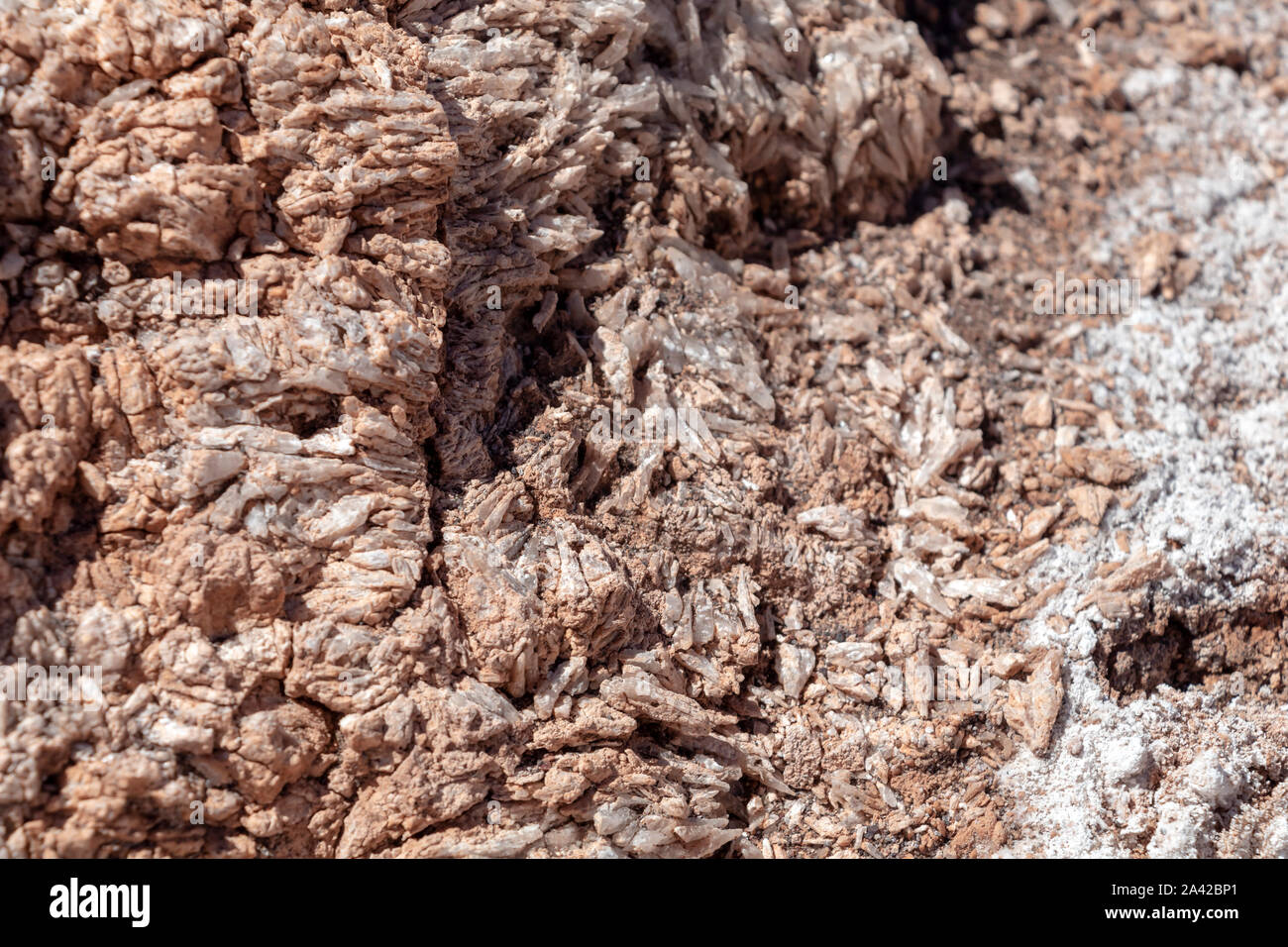 Salt crystals on the salty surface of saline desert close up. Natural ...