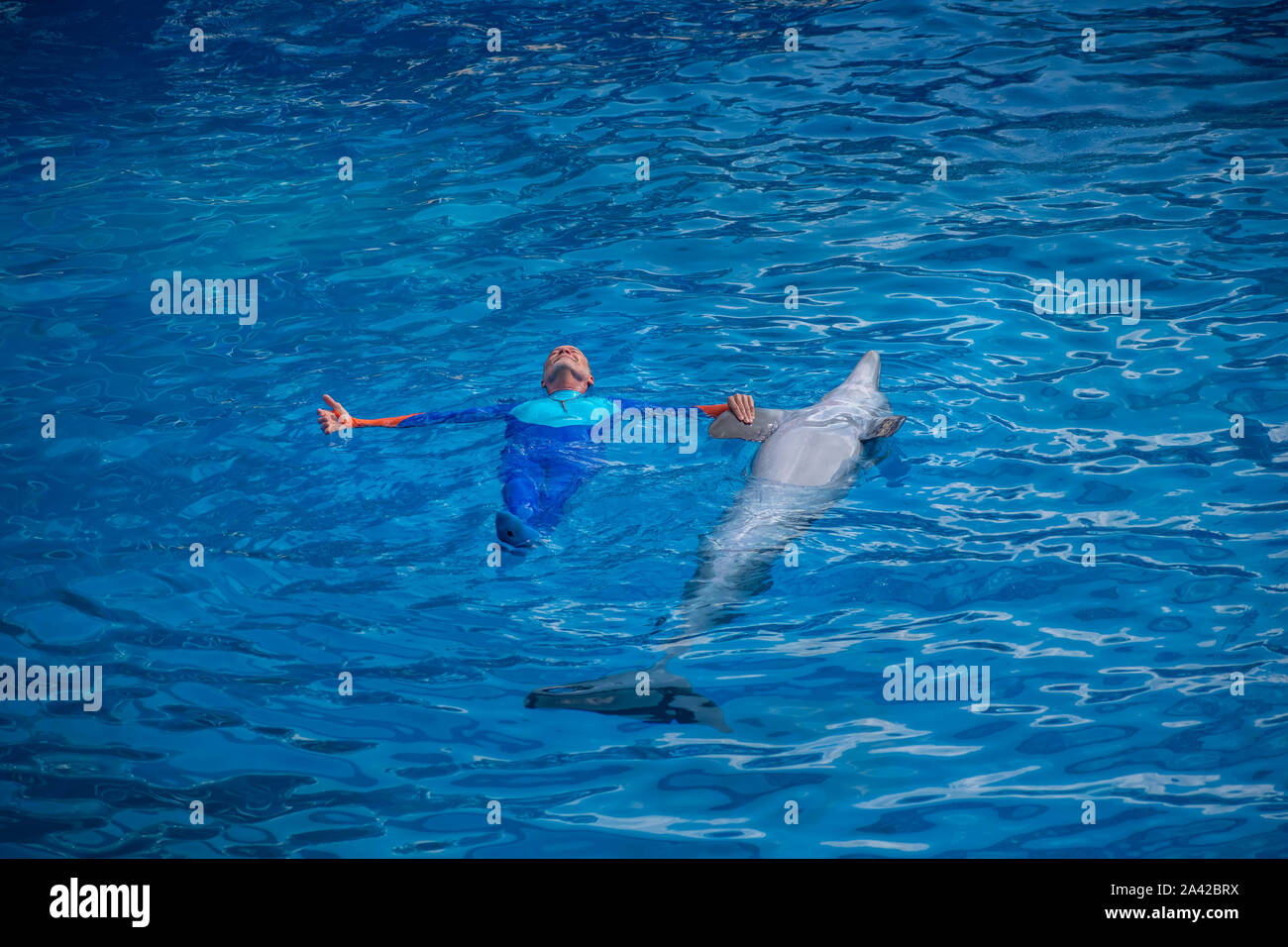 Floating trainer hi-res stock photography and images - Alamy
