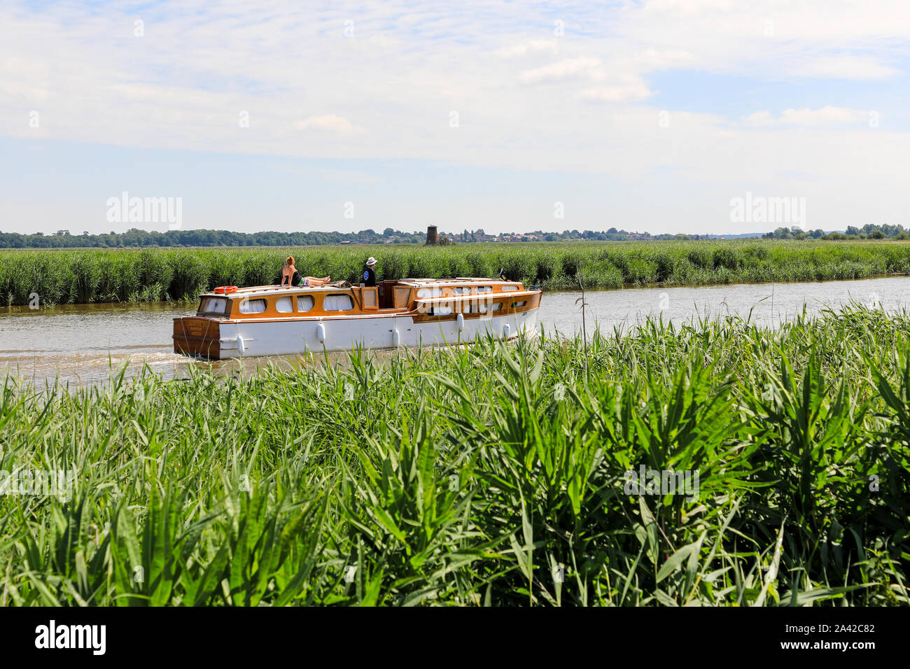 A boat or cruiser on the River Yare at Hardley Marshes, Norfolk Broads ...