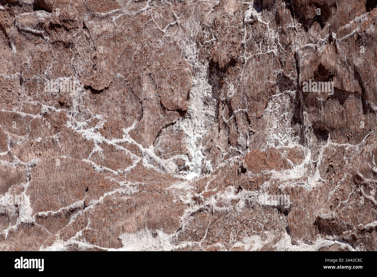 Salt crystals on the salty surface of saline desert close up. Natural ...