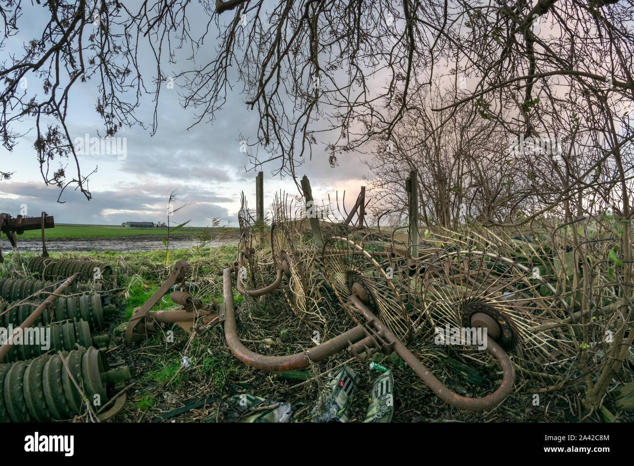 Abandoned rusty old farm machinery below a tree in the dutch ...