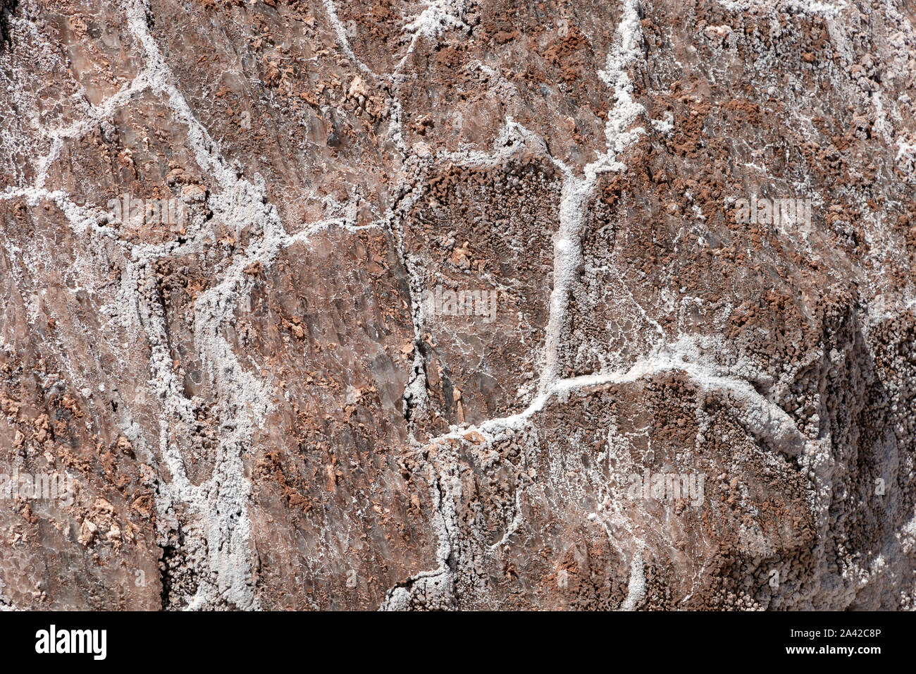Salt crystals on the salty surface of saline desert close up. Natural ...