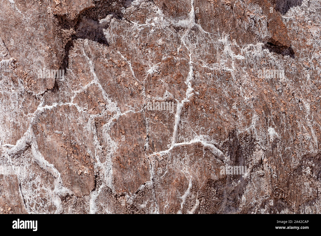 Salt crystals on the salty surface of saline desert close up. Natural ...