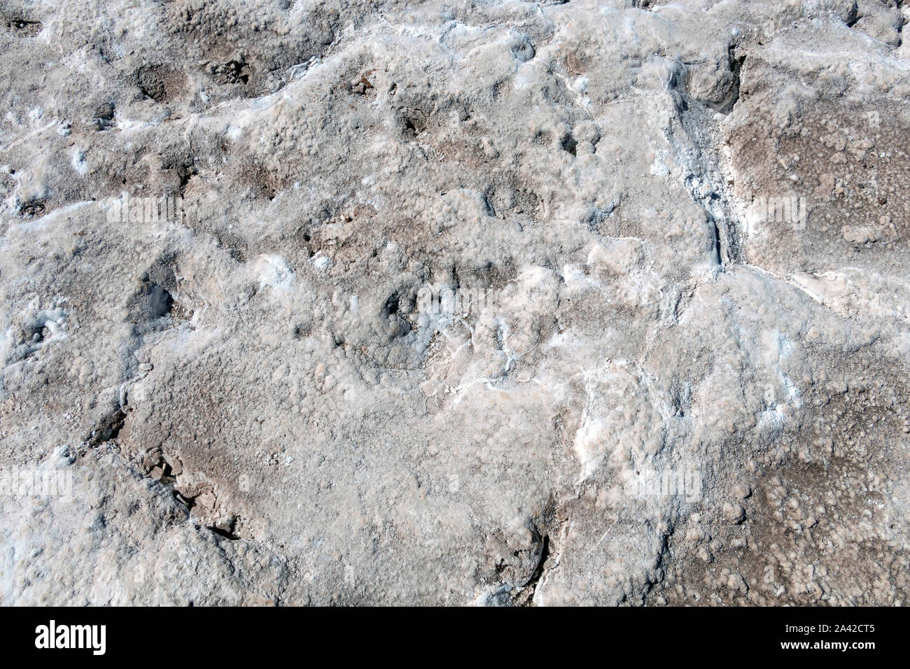 Salt crystals on the salty surface of saline desert close up. Natural ...