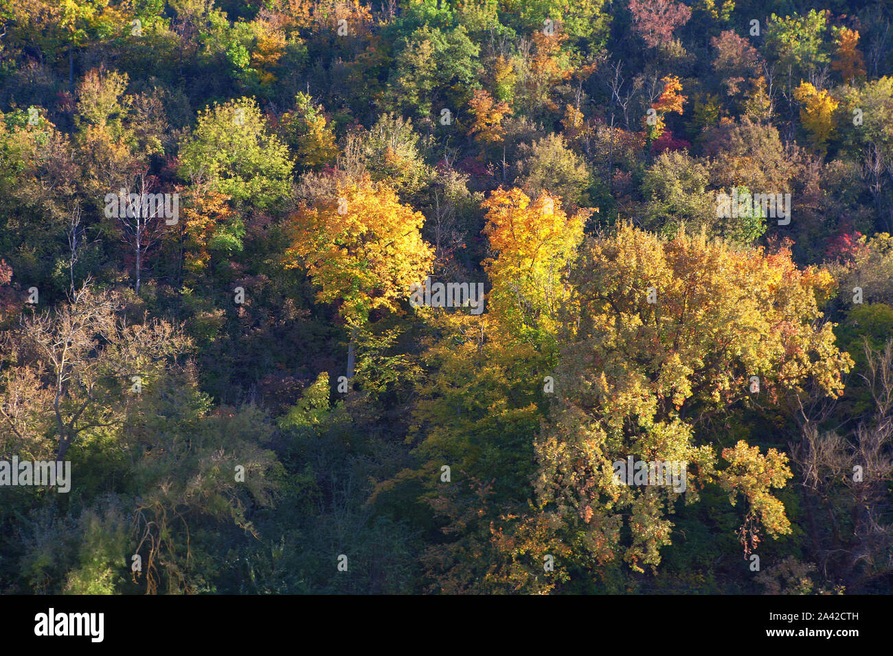 colors of the fall in october Stock Photo - Alamy