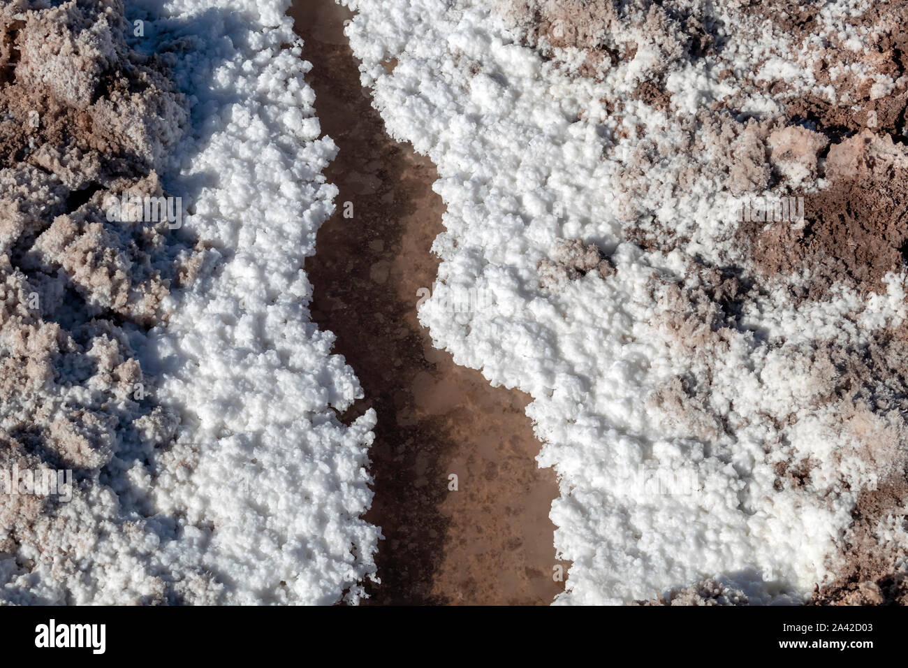 Salt crystals on the salty surface of saline desert close up. Natural ...