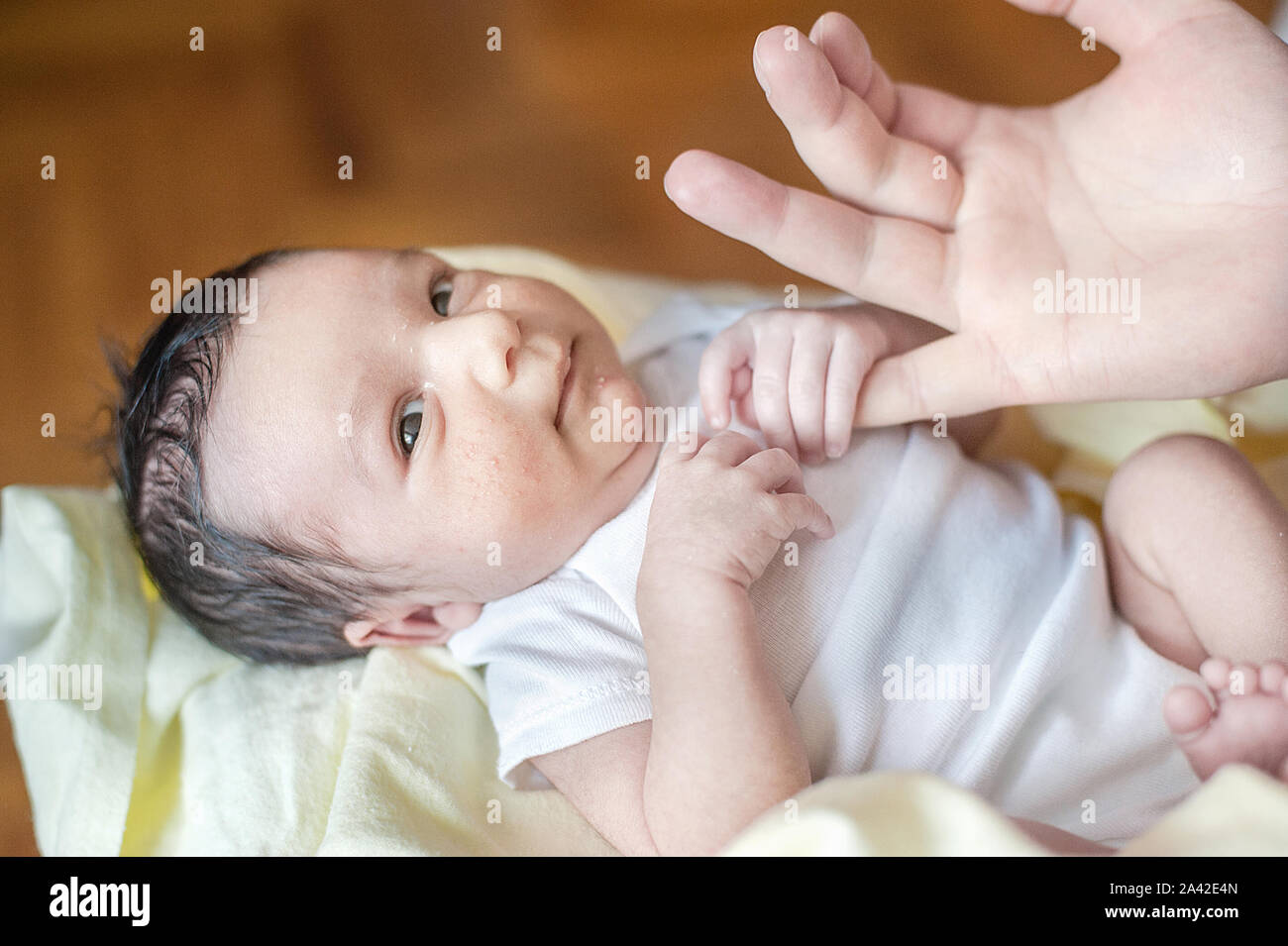 two weeks old newborn baby in the hands of father. baby holds hands ...