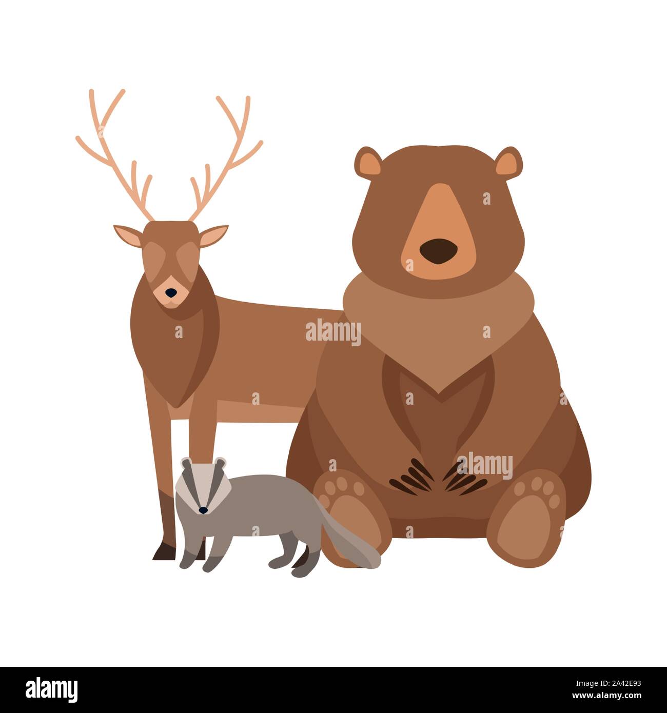 Cartoon wild bear and raccoon, design Stock Vector Image & Art - Alamy