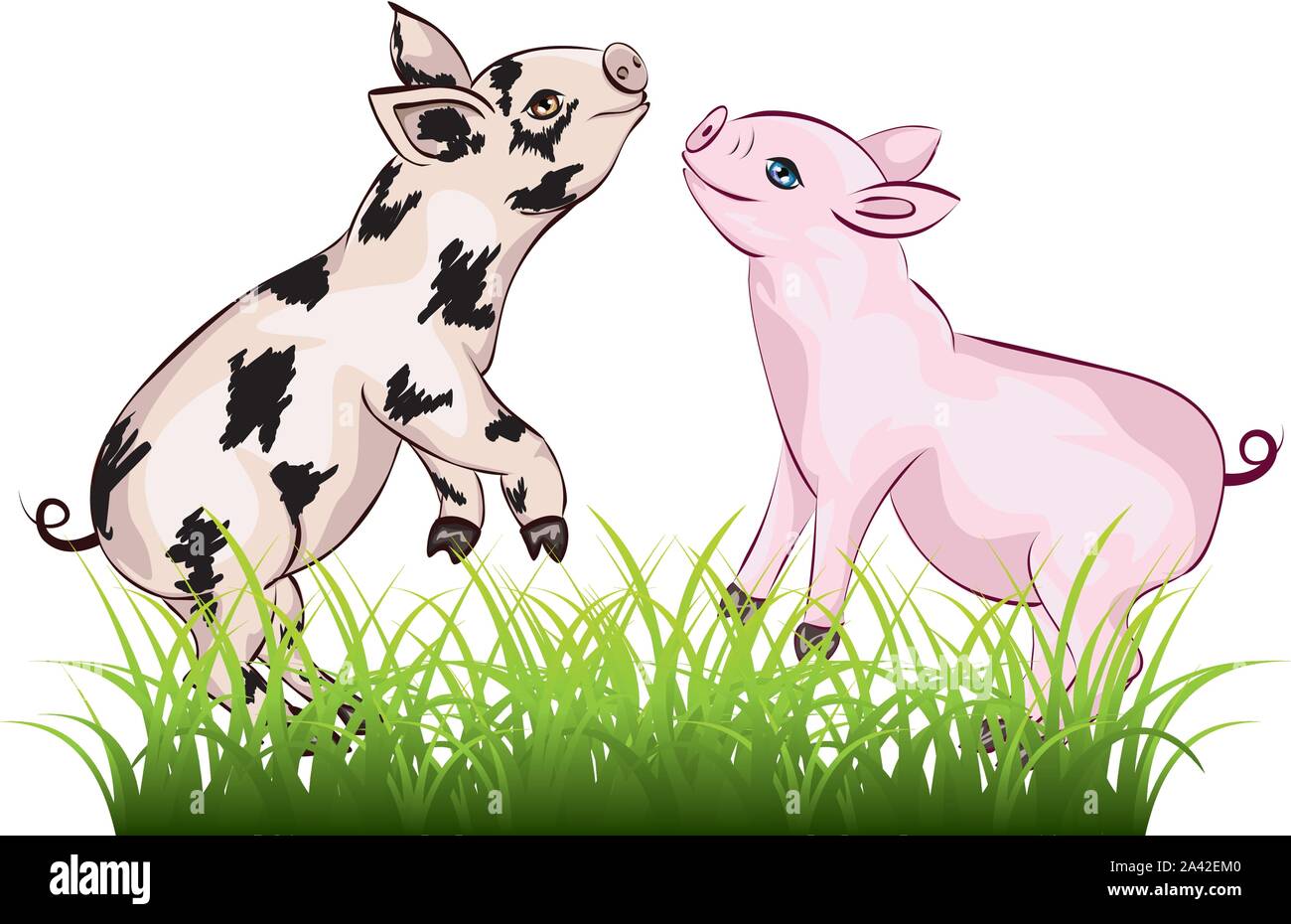 Cartoon cute and cheerful piglet illustration on white Stock Vector ...